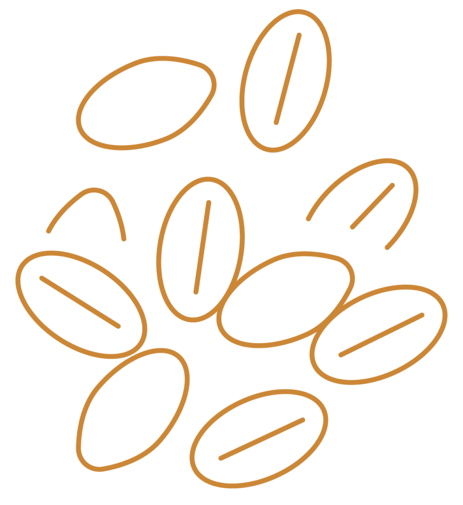 Campo rico – ALCSA